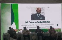 Distribution du ciment au Sénégal : Dangote teste un nouveau modèle de ...